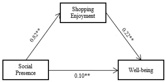 JTAER | Free Full-Text | How Social Presence Influences Consumer Well ...