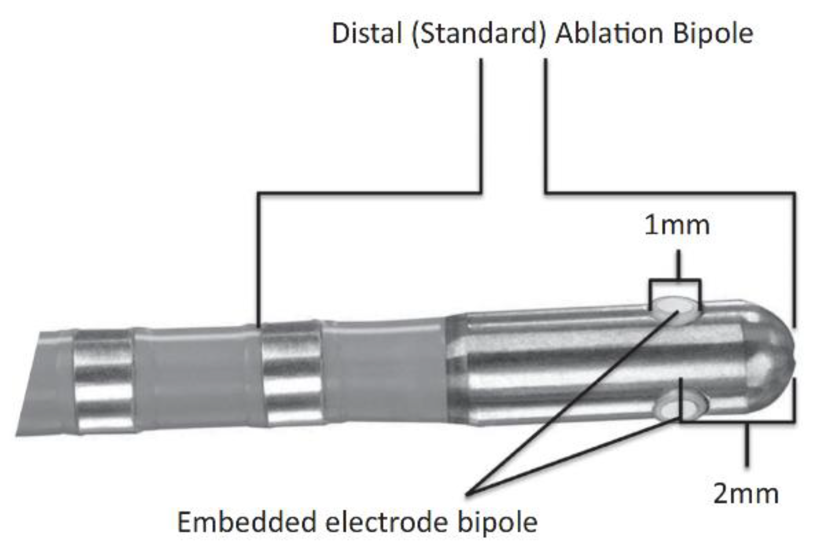JVD | Free Full-Text | Value of Mini Electrodes for Mapping Myocardial ...