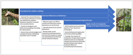 Conducting Behavioural Research in the Zoo: A Guide to Ten Important ...