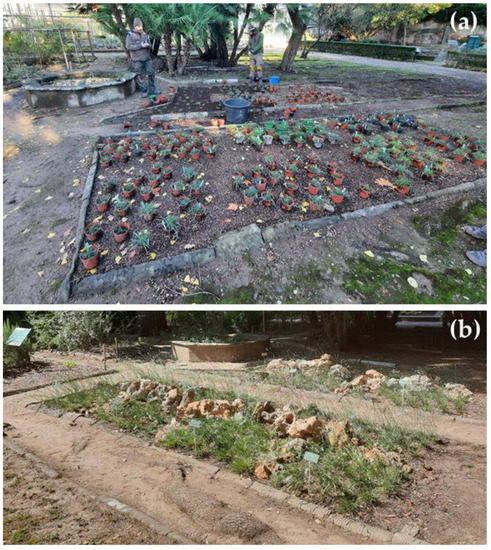 A Comprehensive Approach to Improving Endemic Plant Species Research ...