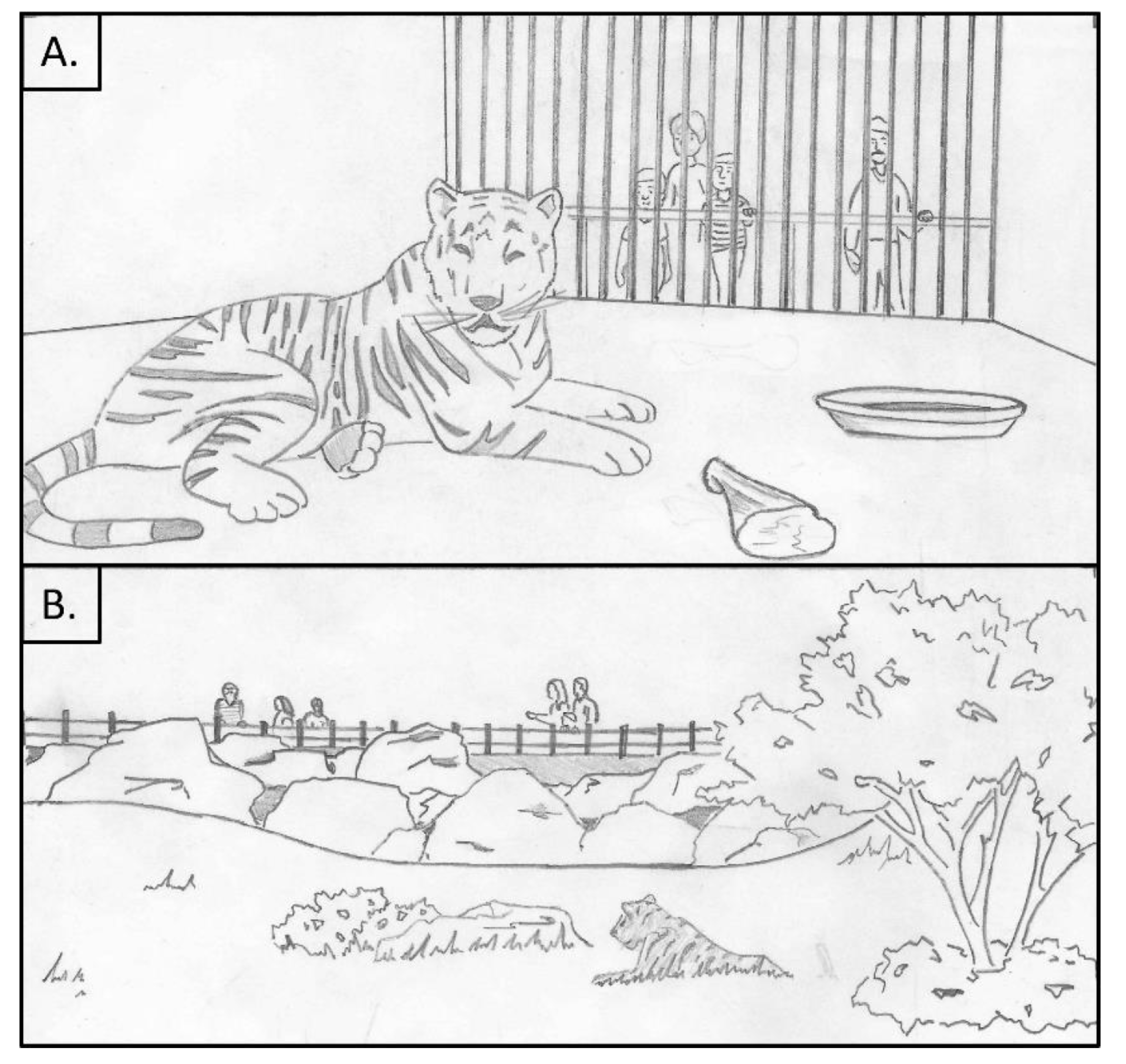 The Evolution of Zoos as Conservation Institutions: A Summary of the ...