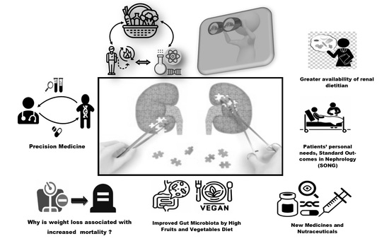Kidney and Dialysis | Free Full-Text | Renal Nutrition—Where It Has ...