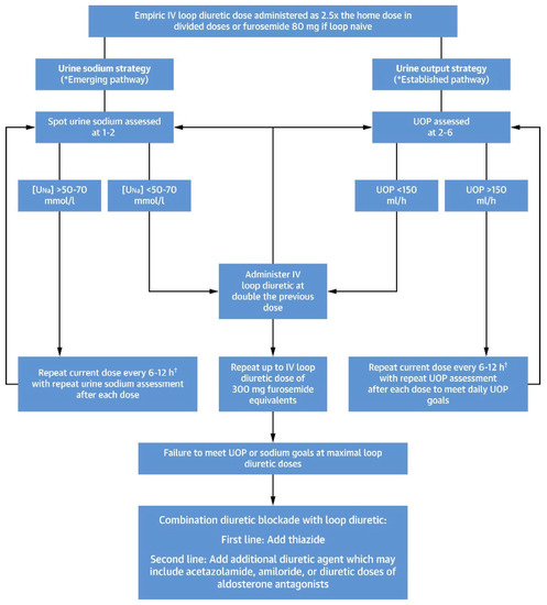 Renal Mechanisms of Diuretic Resistance in Congestive Heart Failure