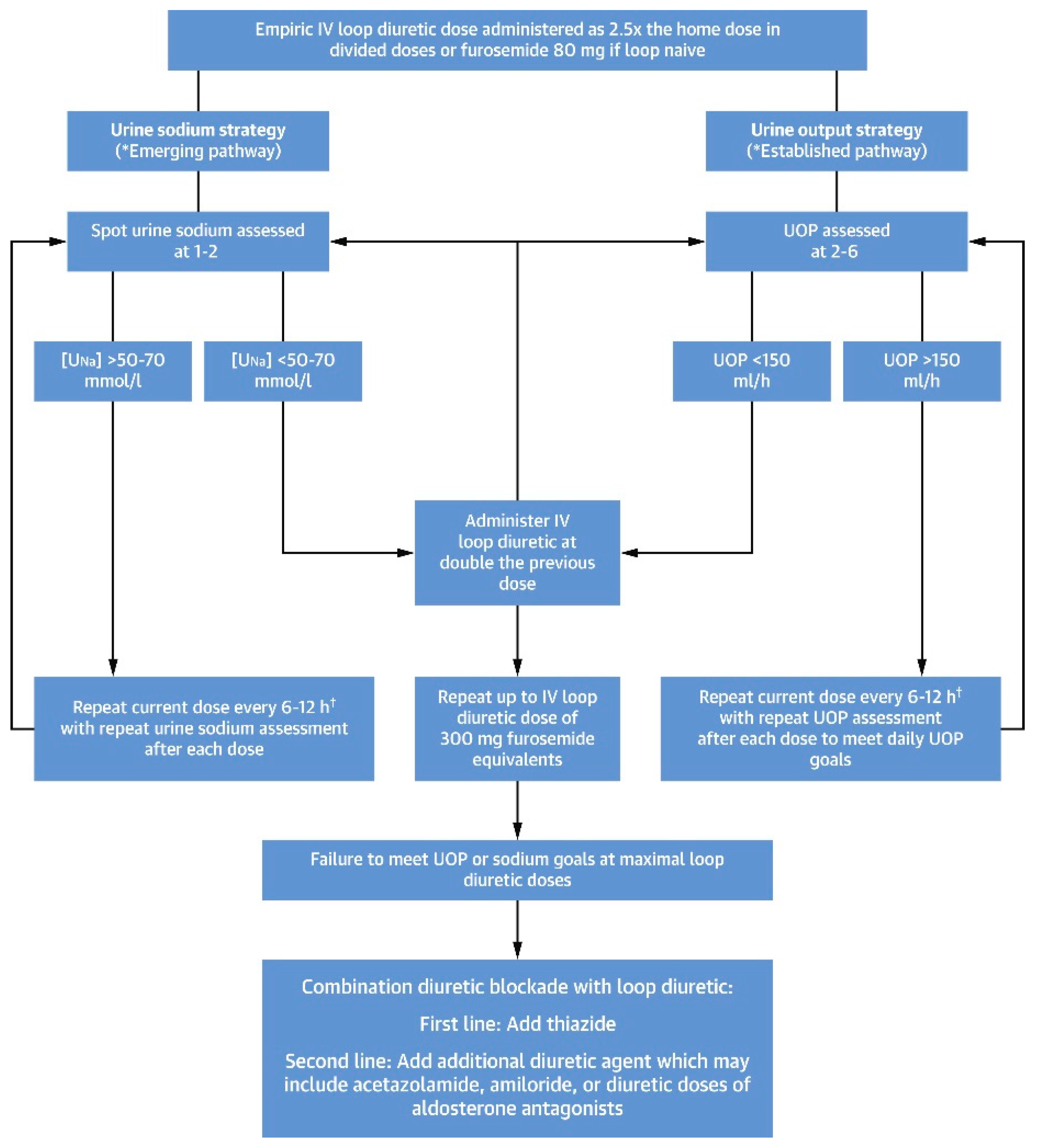 Ceiling Effect Of Loop Diuretics | Shelly Lighting Ceiling Effect Of Loop Diuretics | Shelly Lighting
