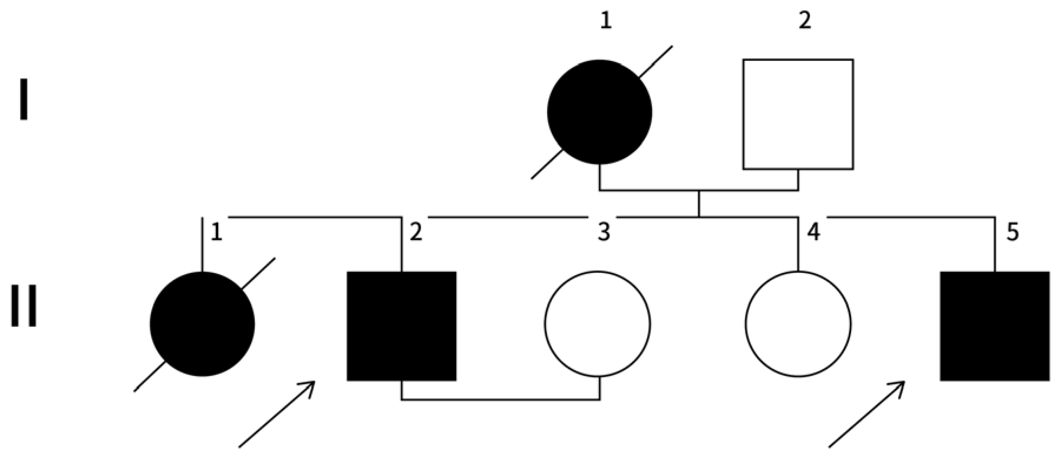 PAX 2 Mutation in an Indian Family with Renal Coloboma Syndrome