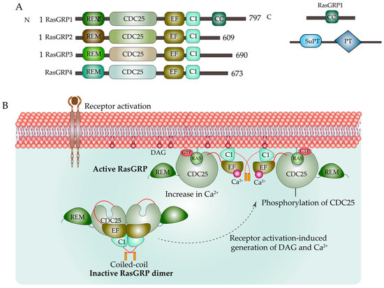 Regulation of Ras-GTPase Signaling and Localization by Post-Translational Modifications