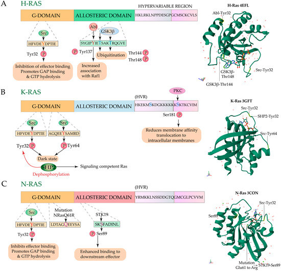 Regulation of Ras-GTPase Signaling and Localization by Post-Translational Modifications