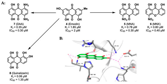 CK2 Inhibitors Targeting Inside and Outside the Catalytic Box