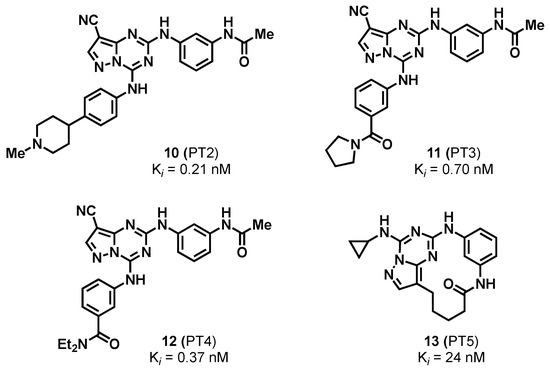 CK2 Inhibitors Targeting Inside and Outside the Catalytic Box