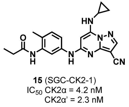 CK2 Inhibitors Targeting Inside and Outside the Catalytic Box