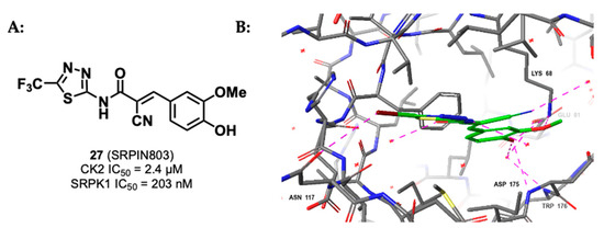 CK2 Inhibitors Targeting Inside and Outside the Catalytic Box