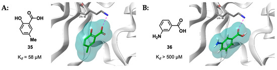 CK2 Inhibitors Targeting Inside and Outside the Catalytic Box
