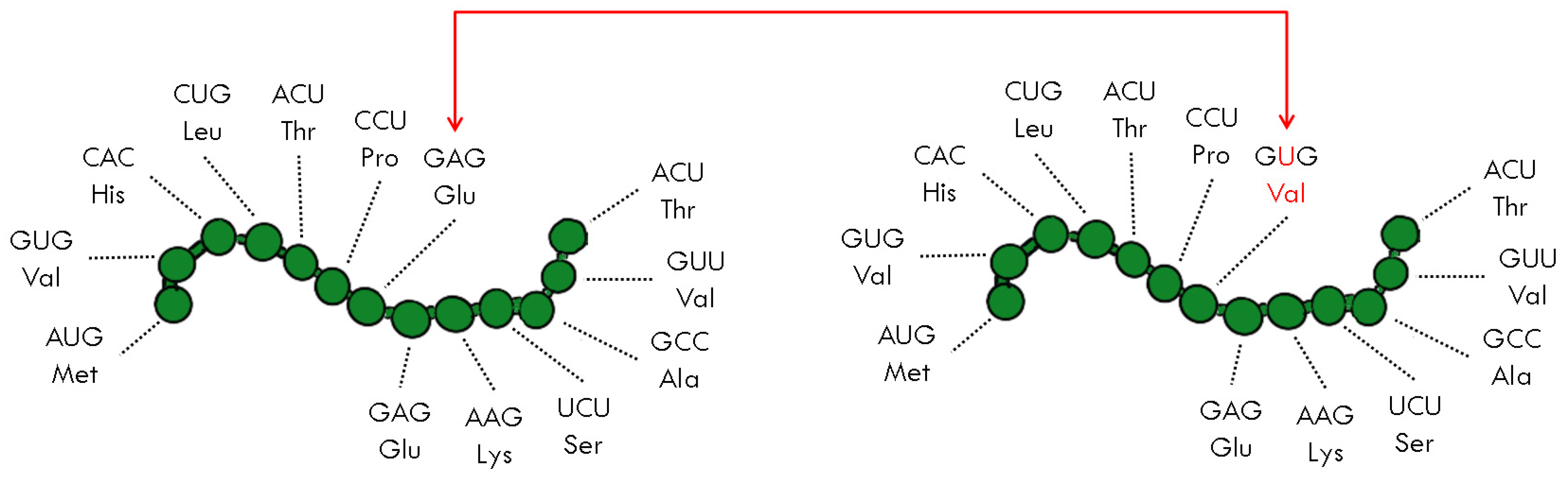 Visualizing the Complexity of Knowledges to Support the Professional ...