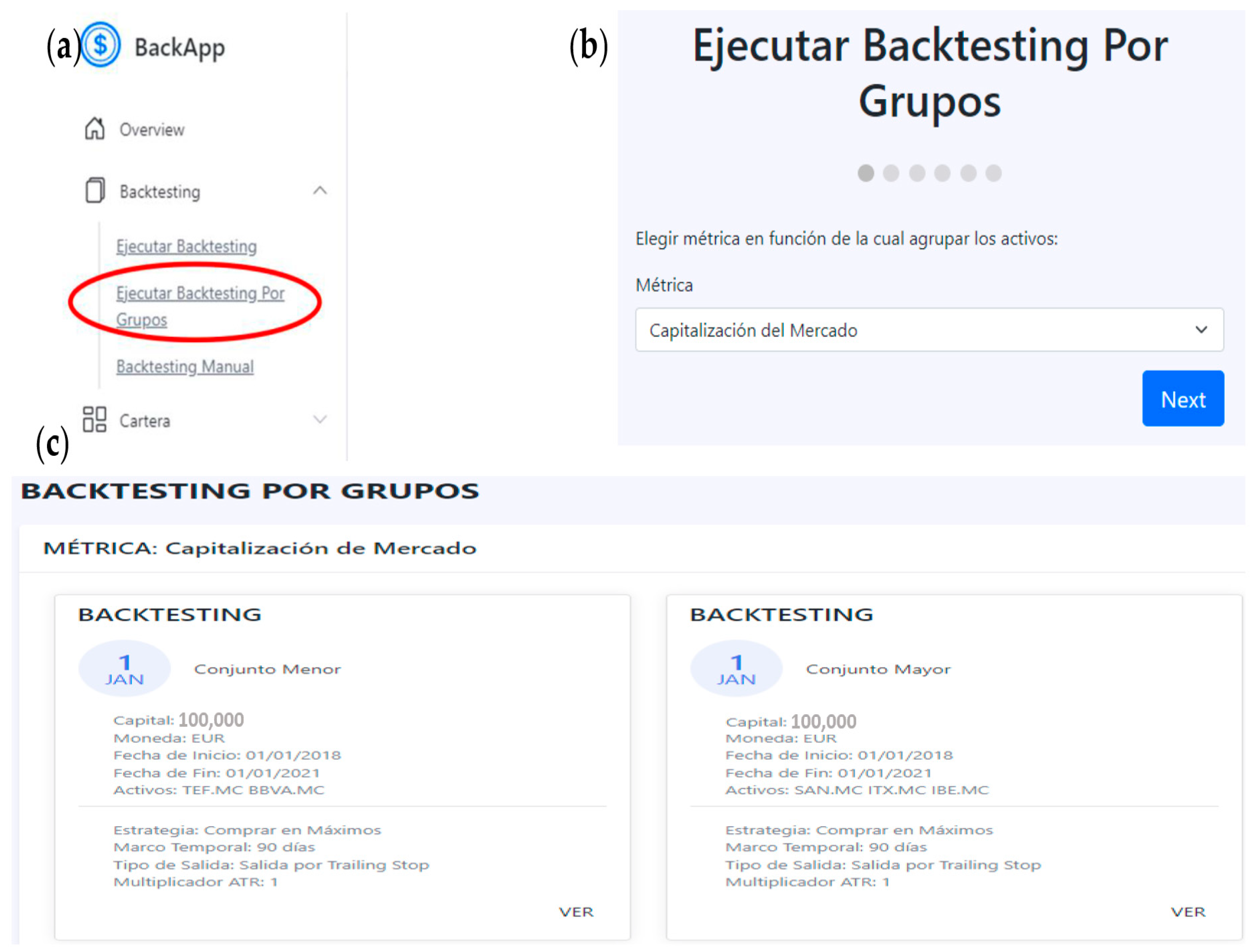 Development of a Backtesting Web Application for the Definition of ...