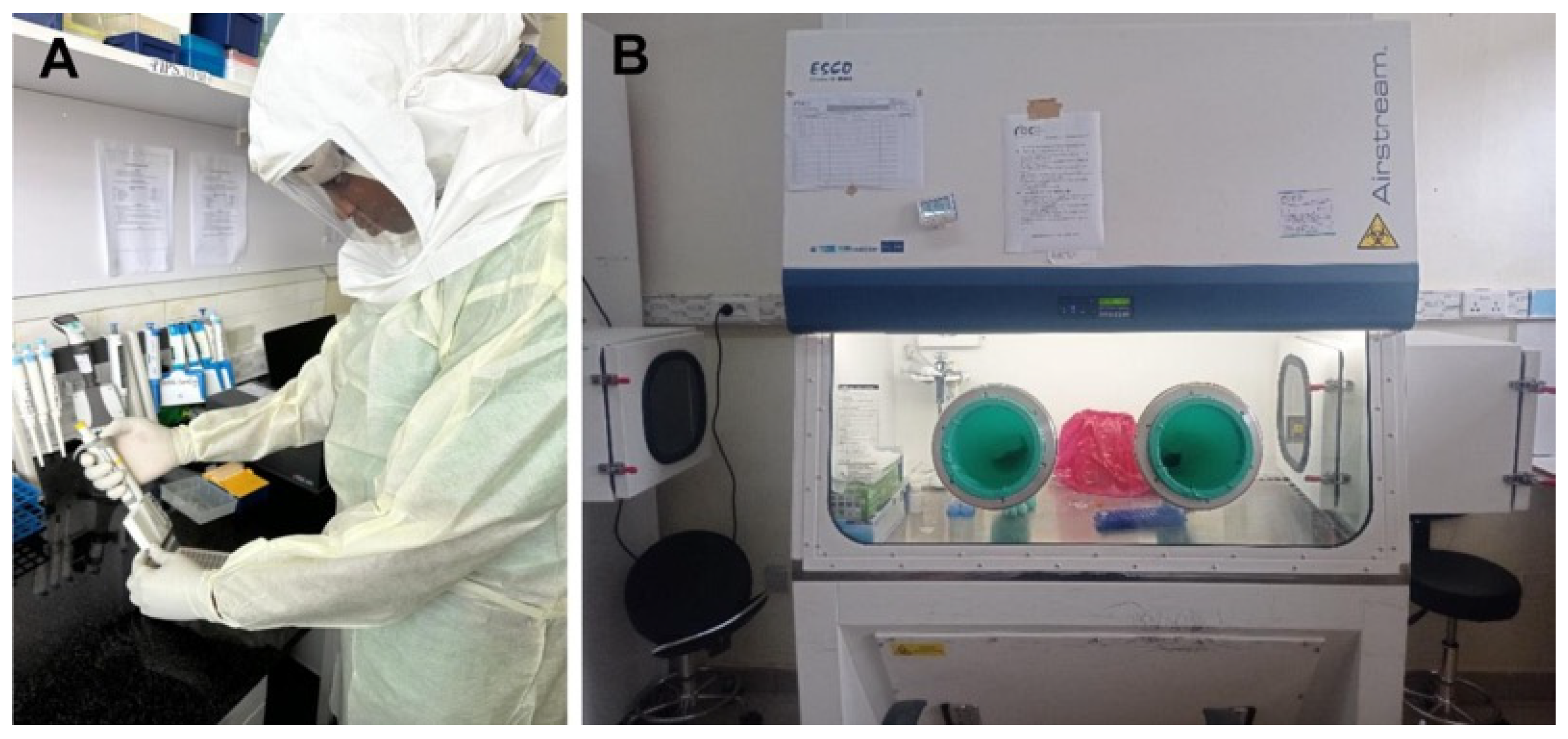 Rwandan National Reference Laboratory Championing Biosafety and Biosecurity While Leading the ...