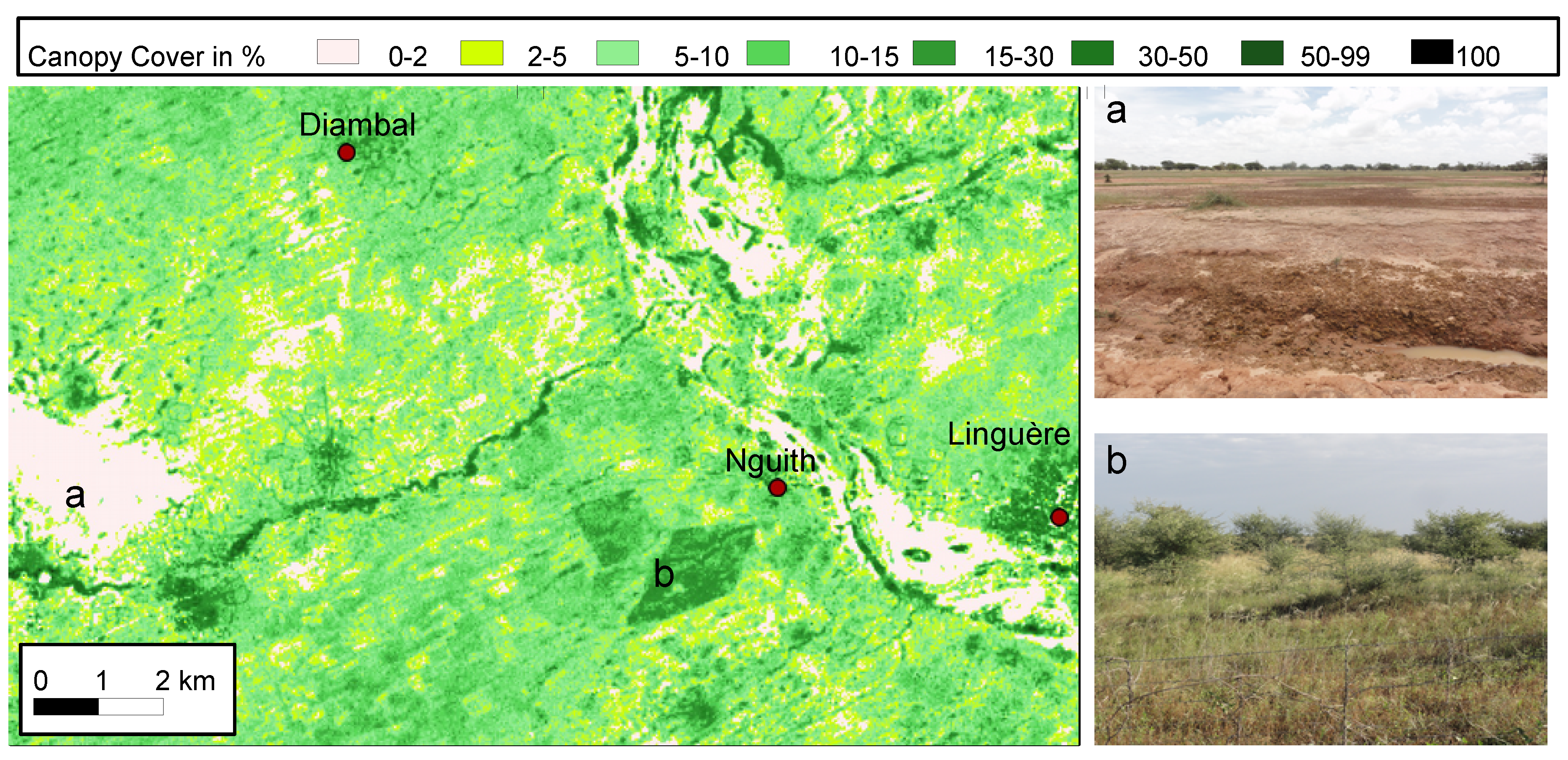 Modeling Soil and Woody Vegetation in the Senegalese Sahel in the ...