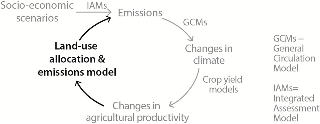 The Positive Feedback Loop between the Impacts of Climate Change and ...