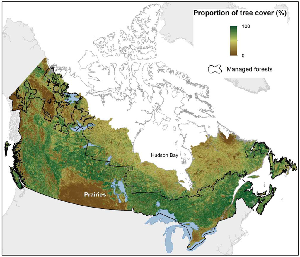 Canadian Forest Map