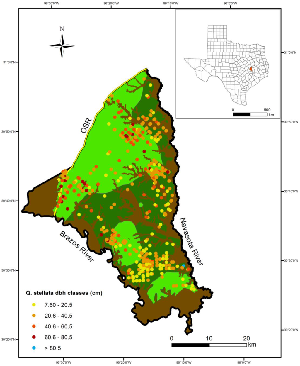 Evaluating the Potential of the Original Texas Land Survey for Mapping ...