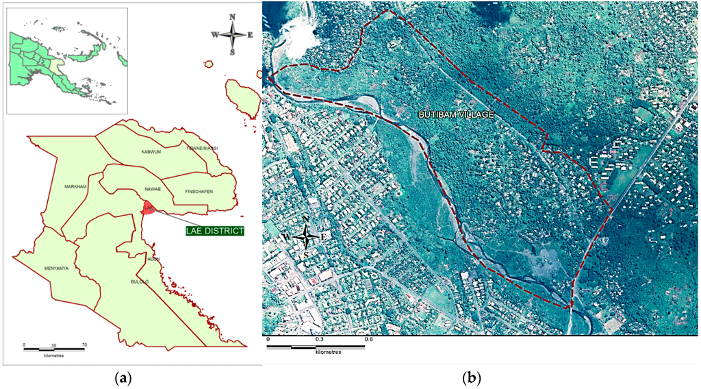 Land | Free Full-Text | Sustainability of Land Groups in Papua New ...