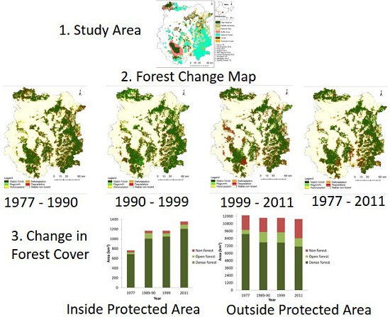 Land | Free Full-Text | The Influence of Forest Management Regimes on ...