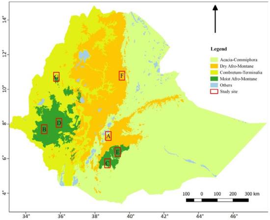 Estimation of Forest Area and Canopy Cover Based on Visual ...