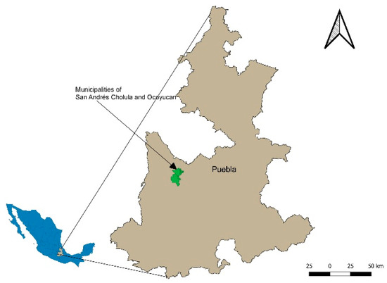 Evolution and Collapse of Ejidos in Mexico—To What Extent Is Communal ...