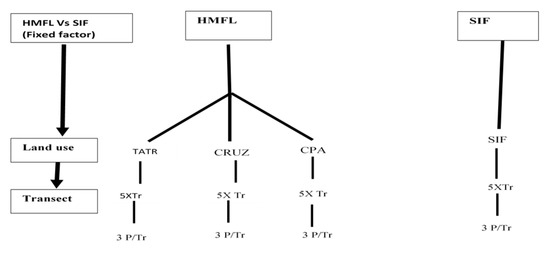 Contrasting the Effect of Forest Landscape Condition to the Resilience ...