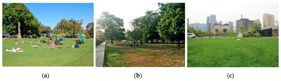 Lawns in Cities: From a Globalised Urban Green Space Phenomenon to ...