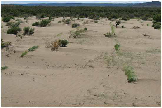 Desertification–Scientific Versus Political Realities