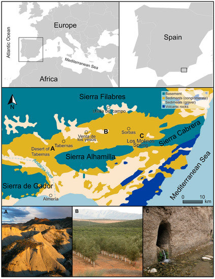 Unraveling Misunderstandings about Desertification: The Paradoxical ...