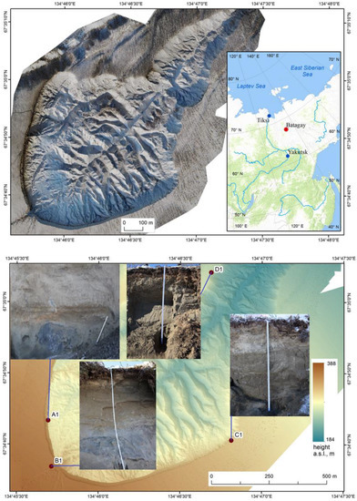 Sub-Surface Carbon Stocks in Northern Taiga Landscapes Exposed in the ...