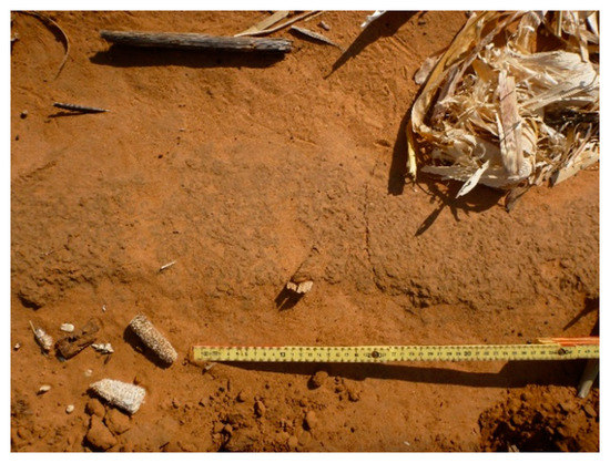Physical Crust Formation on Sandy Soils and Their Potential to Reduce ...