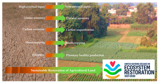 Restoring the Unrestored: Strategies for Restoring Global Land during ...