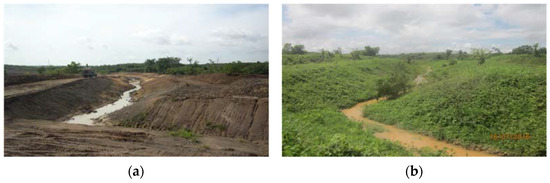 Managing and Reforesting Degraded Post-Mining Landscape in Indonesia: A ...