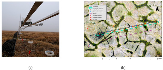 Land | Special Issue : Carbon Cycling in Terrestrial Ecosystems