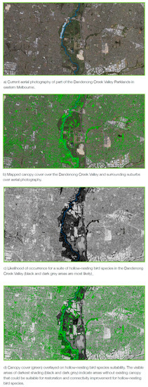 Developing a Metropolitan-Wide Urban Forest Strategy for a Large ...