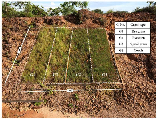 Evaluation of the Effect of Hydroseeded Vegetation for Slope Reinforcement