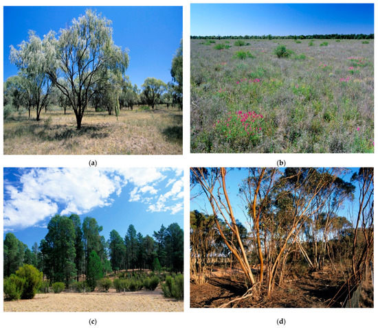 Land Free Full Text Synthesizing Data To Classify And Risk Assess