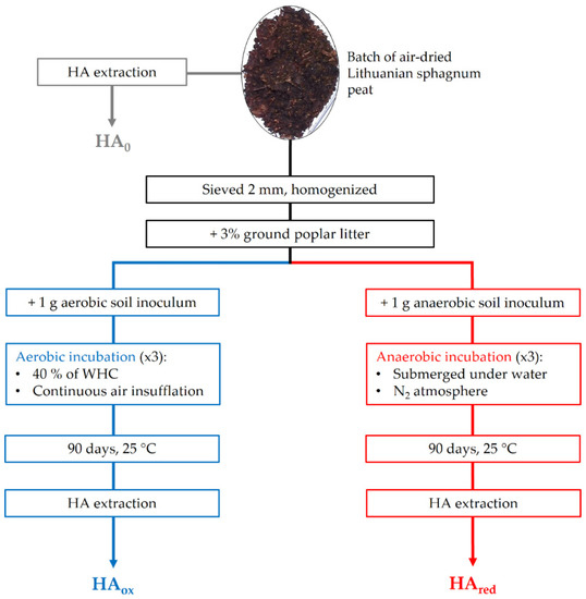 Electrochemical and Structural Modifications of Humic Acids in ...