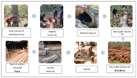 Timber Losses during Harvesting in Managed Shorea robusta Forests of Nepal