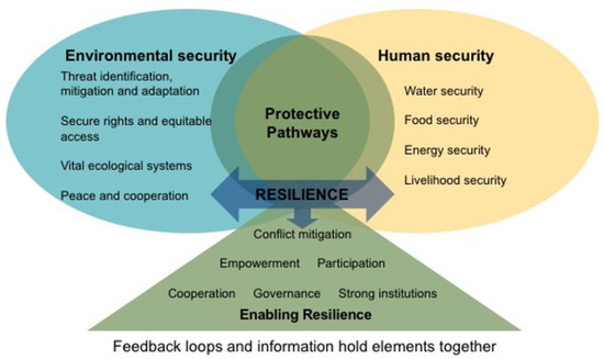 Protective Pathways: Connecting Environmental and Human Security at ...