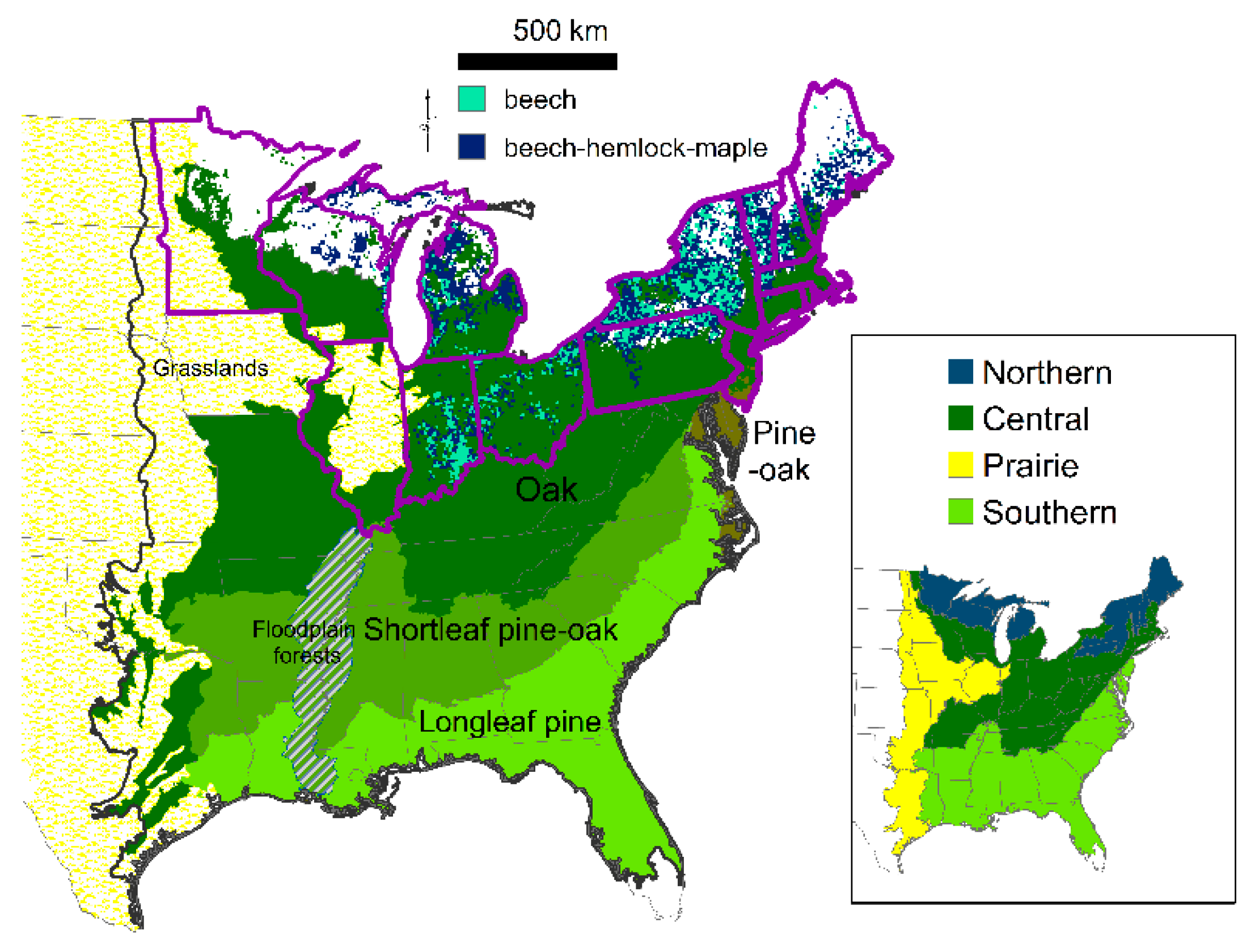 Eastern Broadleaf Forest