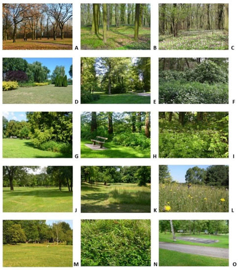 Perception of the Vegetation Cover Pattern Promoting Biodiversity in ...