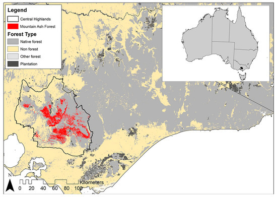 Land | Free Full-Text | Diversifying Forest Landscape Management—A Case ...