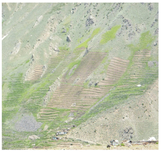 Land | An Open Access Journal from MDPI