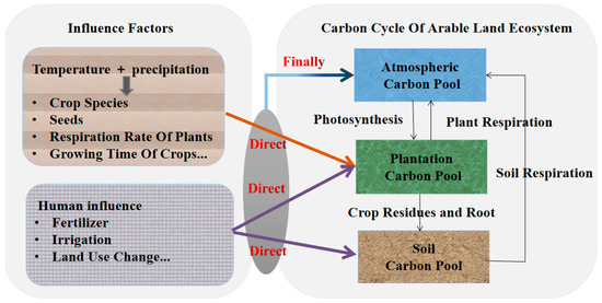Land | Free Full-Text | A Review on Carbon Source and Sink in Arable ...