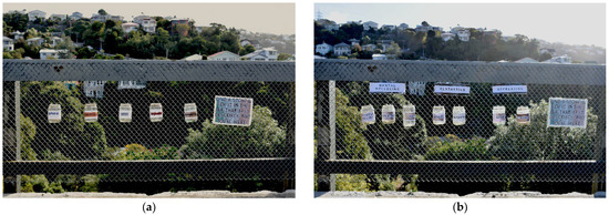 Urgent Biophilia: Green Space Visits in Wellington, New Zealand, during ...