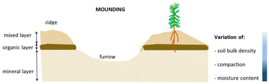 Land | An Open Access Journal from MDPI