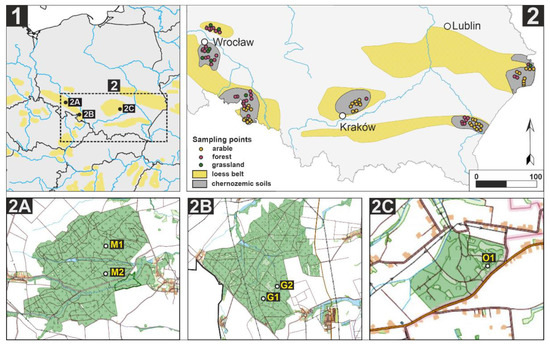 Land | An Open Access Journal from MDPI